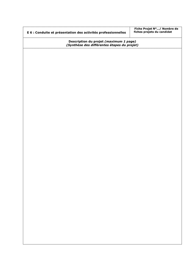 Fiche projet professionnel appliqué - DOC, PDF - page 2 sur 2