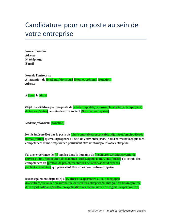 Candidature pour un poste au sein de votre entreprise - DOC, PDF - page 1 sur 2