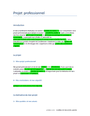 Modèle de projet professionnel de master - DOC, PDF - page 3 sur 3